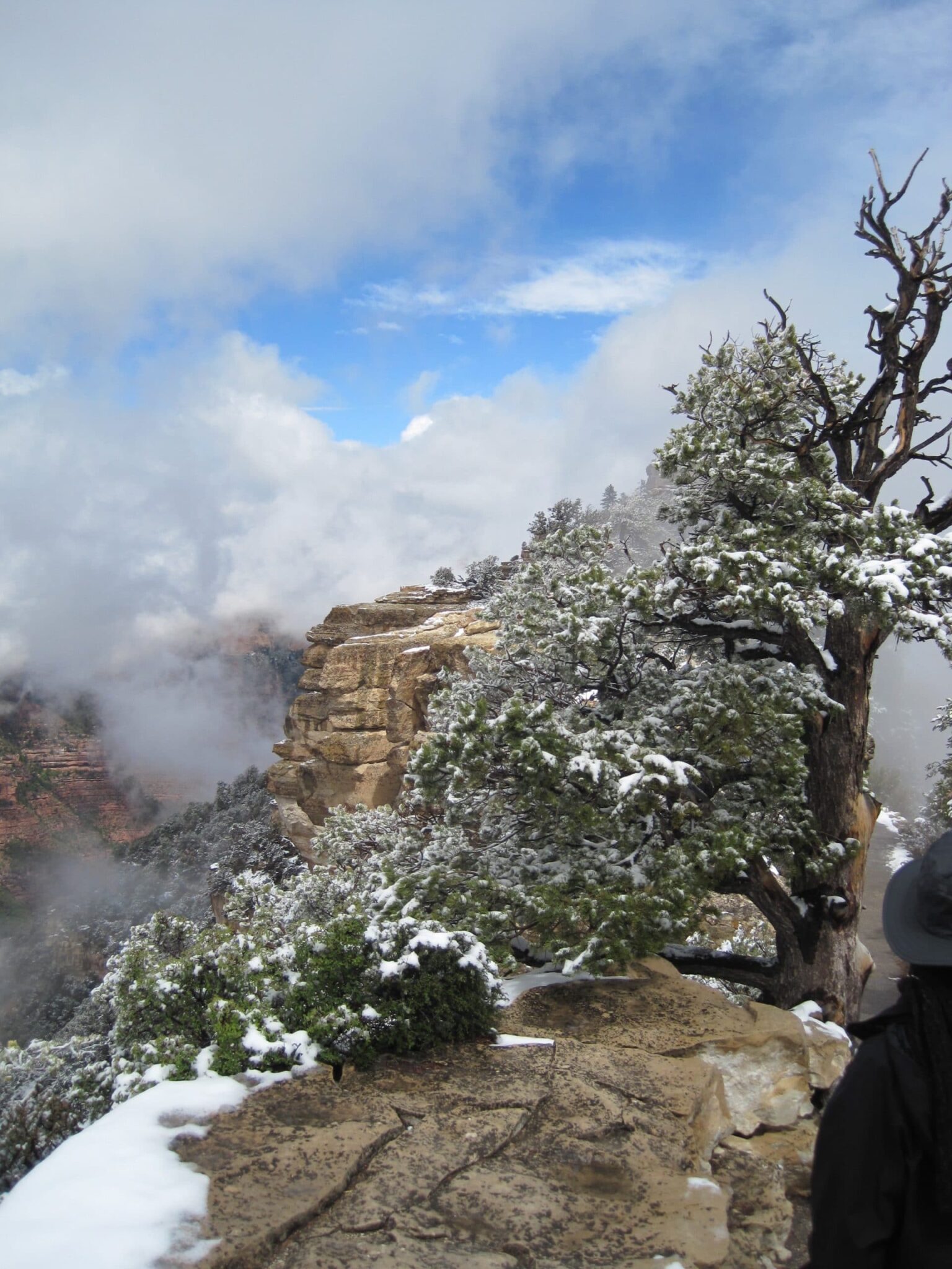 The Winter Phase, Embracing the Most Yin Season - Qigong for Life