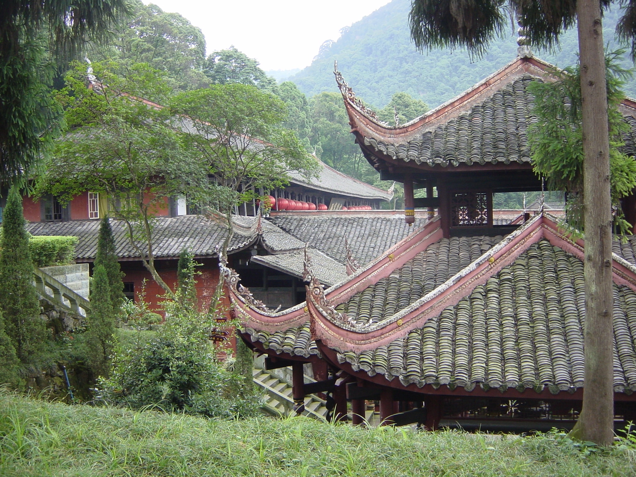 Chinese roof #1 – Qigong for Life